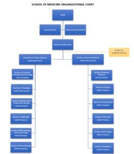 School of Medicine Organizational Chart – AUHS Handbook