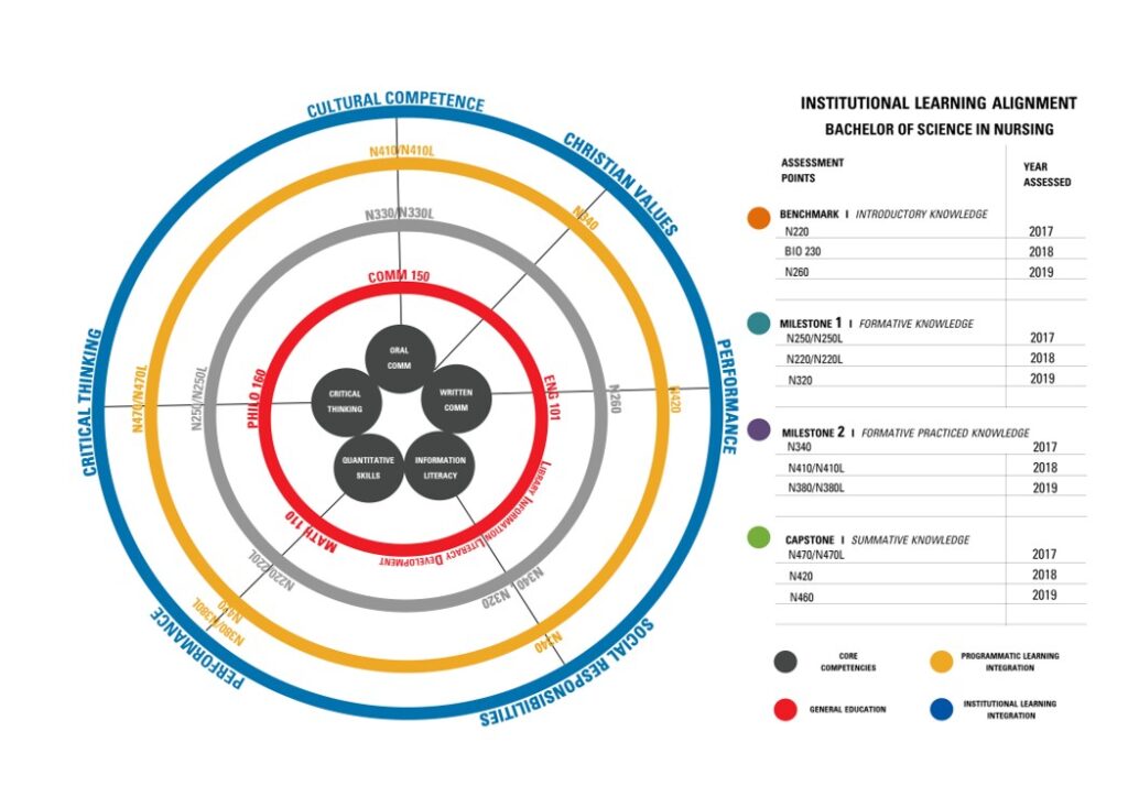 Figure 4. BSN Assessment Wheel Model – AUHS Handbook