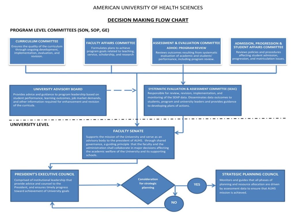 Decision Making Flow Chart – AUHS Handbook