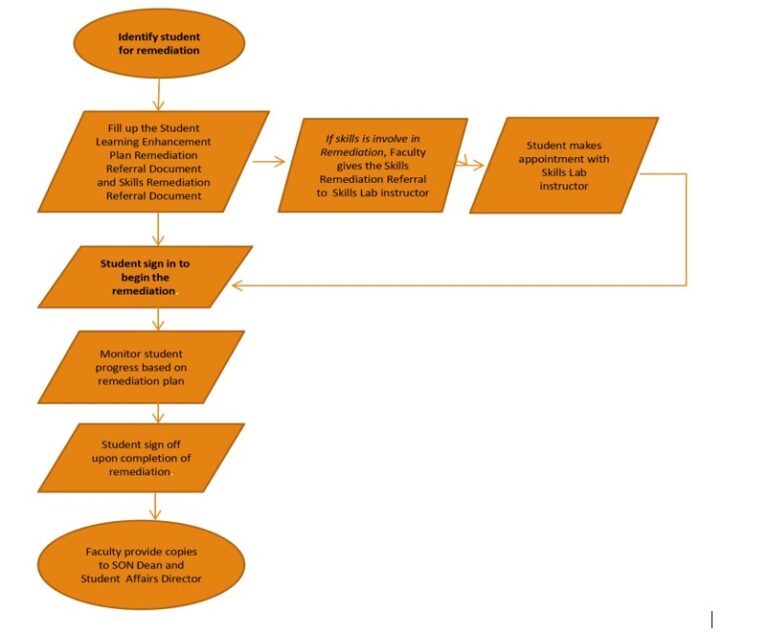 Figure 4. Flow Chart of Remediation Plan – AUHS Handbook